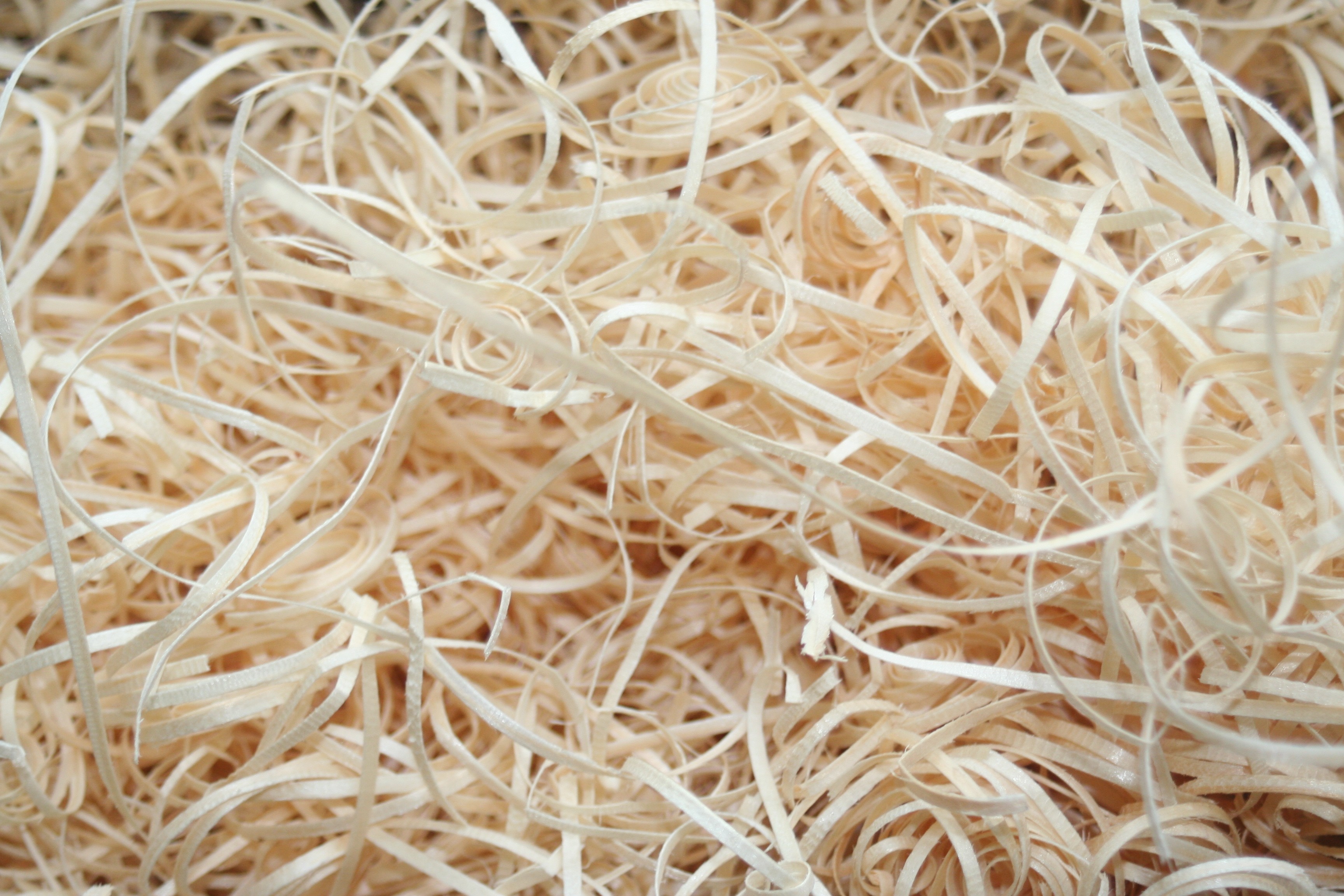 Natural Woodwool (2.5kg) - Gift & Transit Packaging